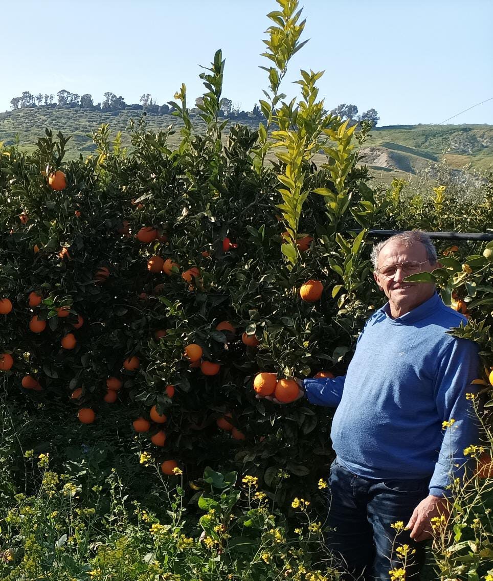 Chi Siamo – Azienda Agricola Gennaro